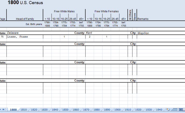 US census form excel template for free.