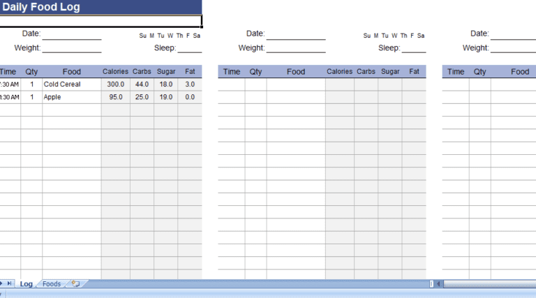 Daily Food Log excel template for free